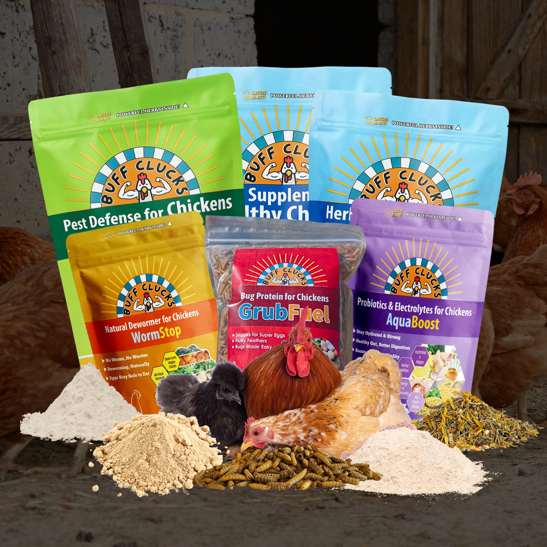 BEST SELLERS – Buff Clucks