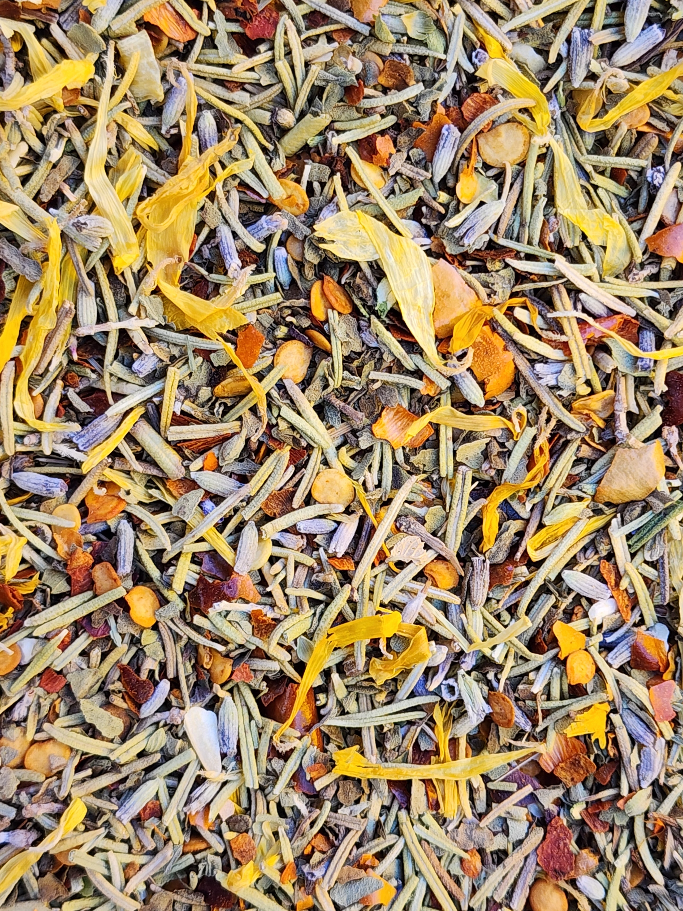 Why Have My Hens Stopped Laying? 5 Reasons for the Fall Egg Slump ...