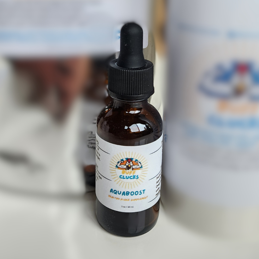 Aquaboost—Water Supplement for Backyard Chickens – Buff Clucks