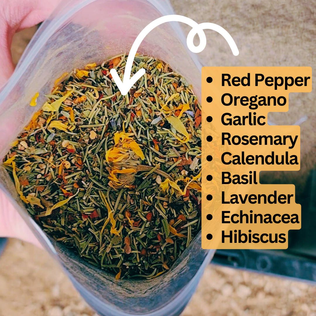 Herb Supplement For Backyard Chickens – Buff Clucks