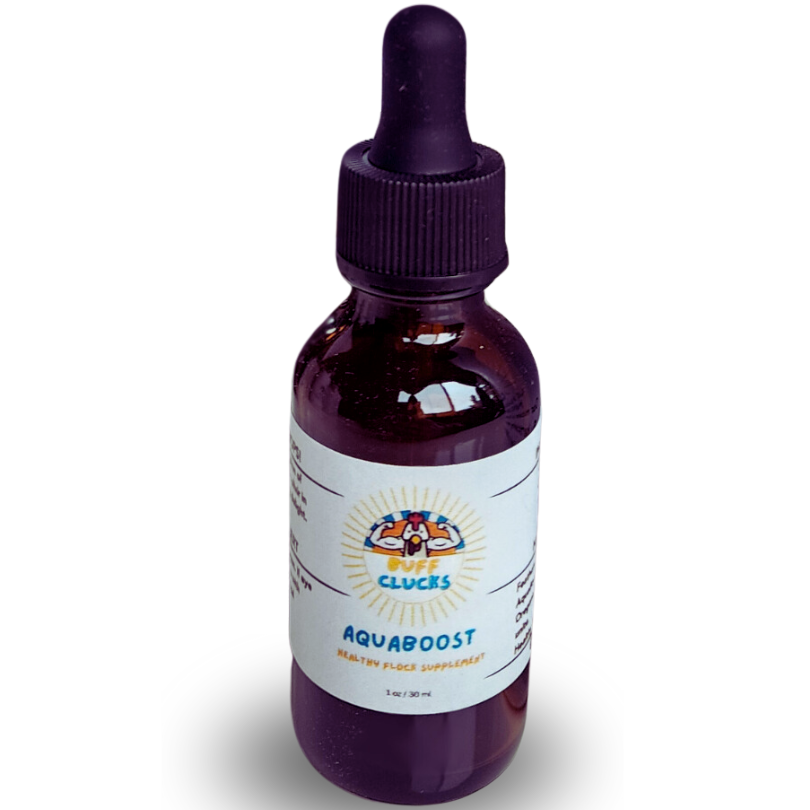 Aquaboost—Water Supplement for Backyard Chickens – Buff Clucks