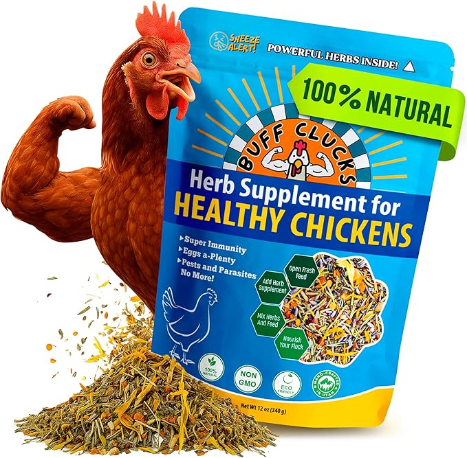 Do Chickens Need Vitamins & Supplements? What’s Essential vs. Extra – Buff Clucks